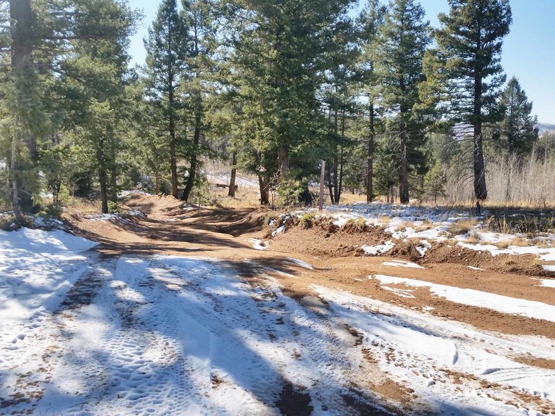 Turkey Track Road | Trails Offroad